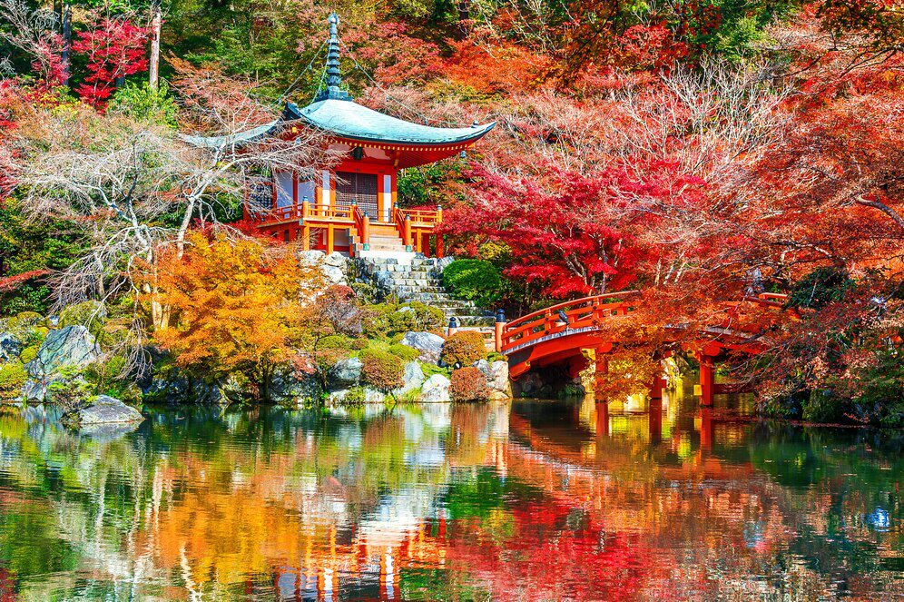 Discover the Magic of Summer in Japan: Your Essential Guide | OneVasco Blog