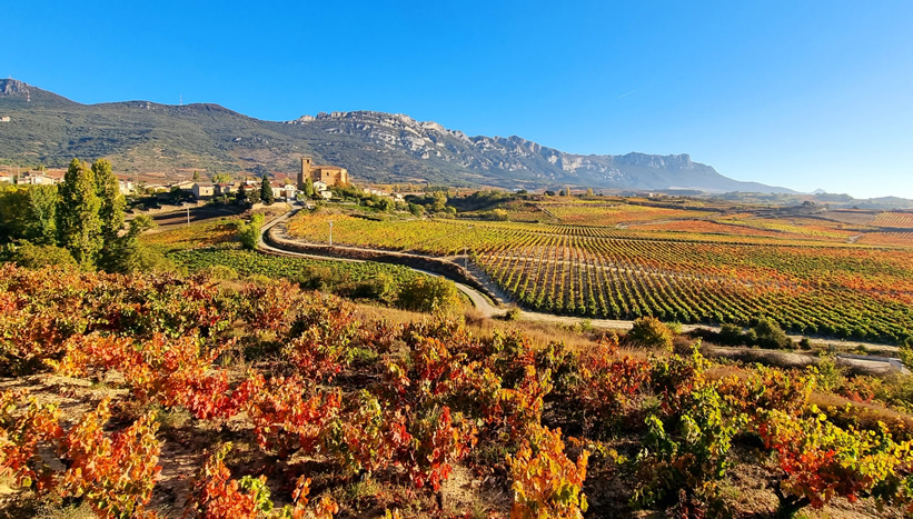 Discover the 13 Best Reasons to Visit Spain: A Traveler's Guide ...