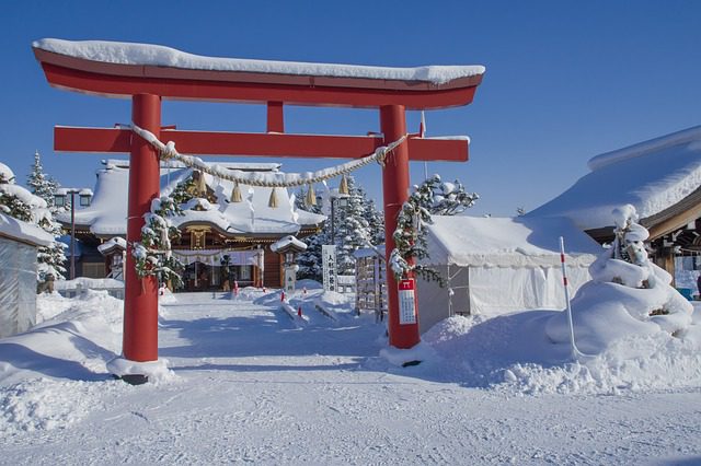 Magic of Japan in January: Complete Travel Guide | OneVasco Blog