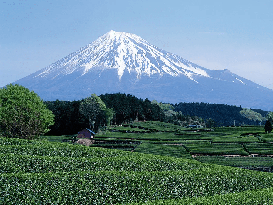 Hiking in Japan: The Ultimate Guide to Top 15 Trails & Tips | OneVasco Blog