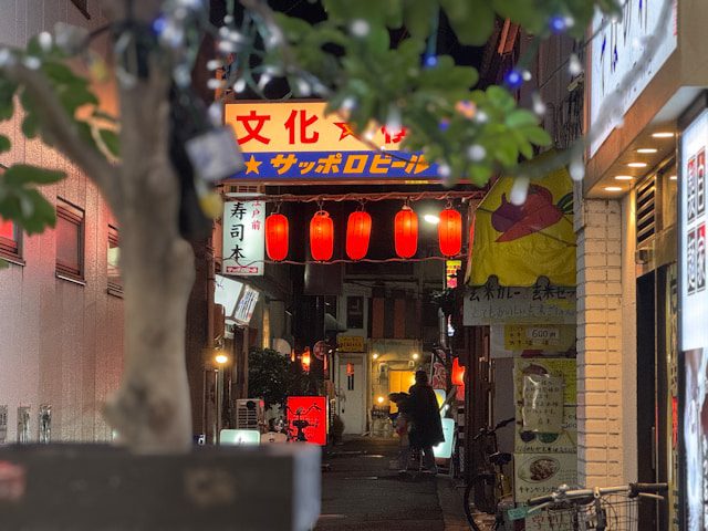 15 Hotspots for Party Lovers to Enjoy Nightlife in Japan | OneVasco Blog